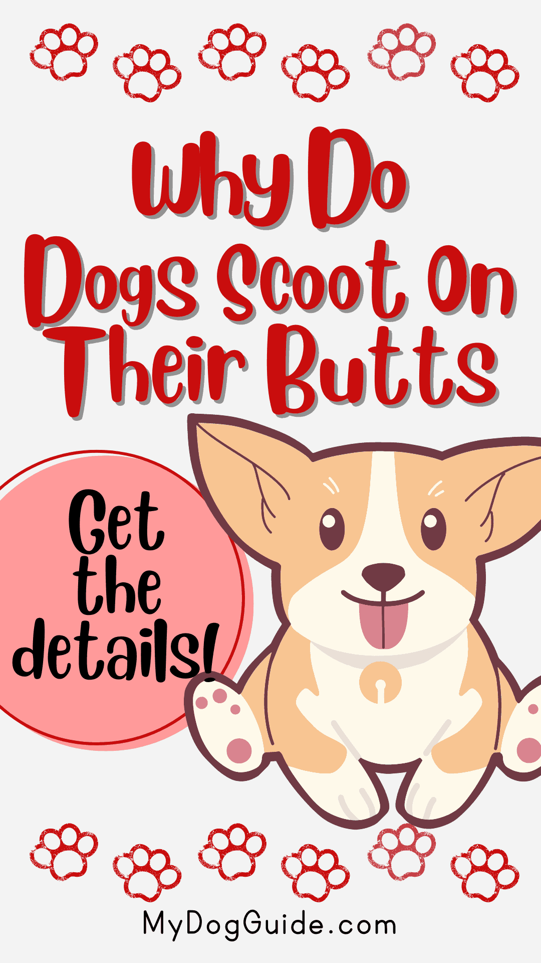 Why Do Dogs Scoot On Their Butts? - mydogguide.com